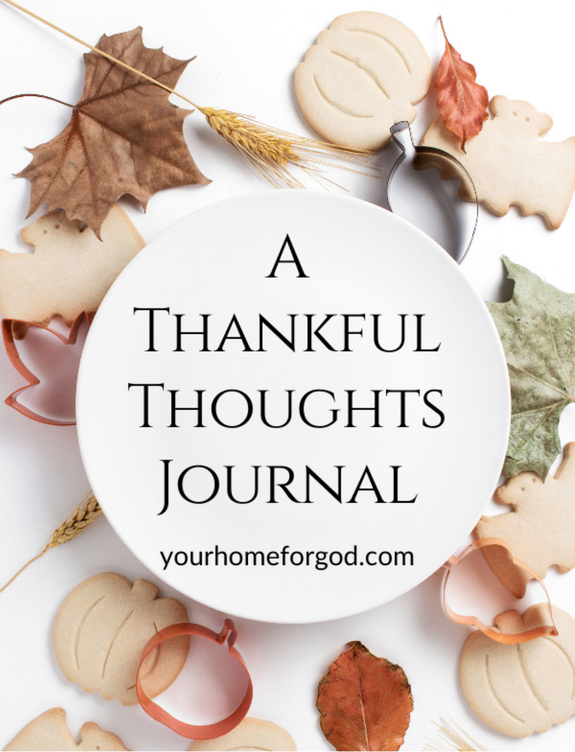 How to be thankful When you feel lousy | Gratitude |Your Home For God